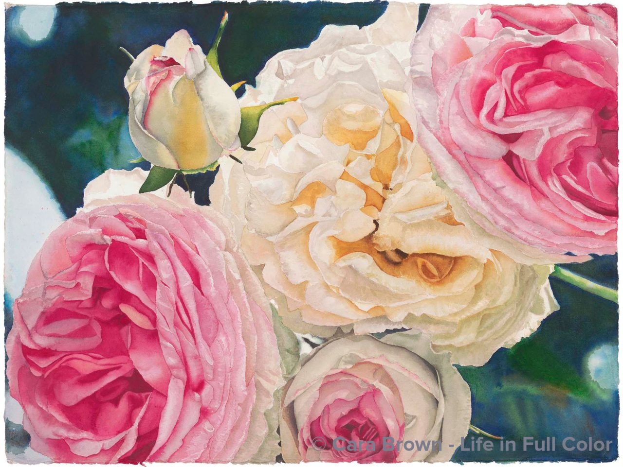 Paris Roses | Cara Brown - Life in Full Color
